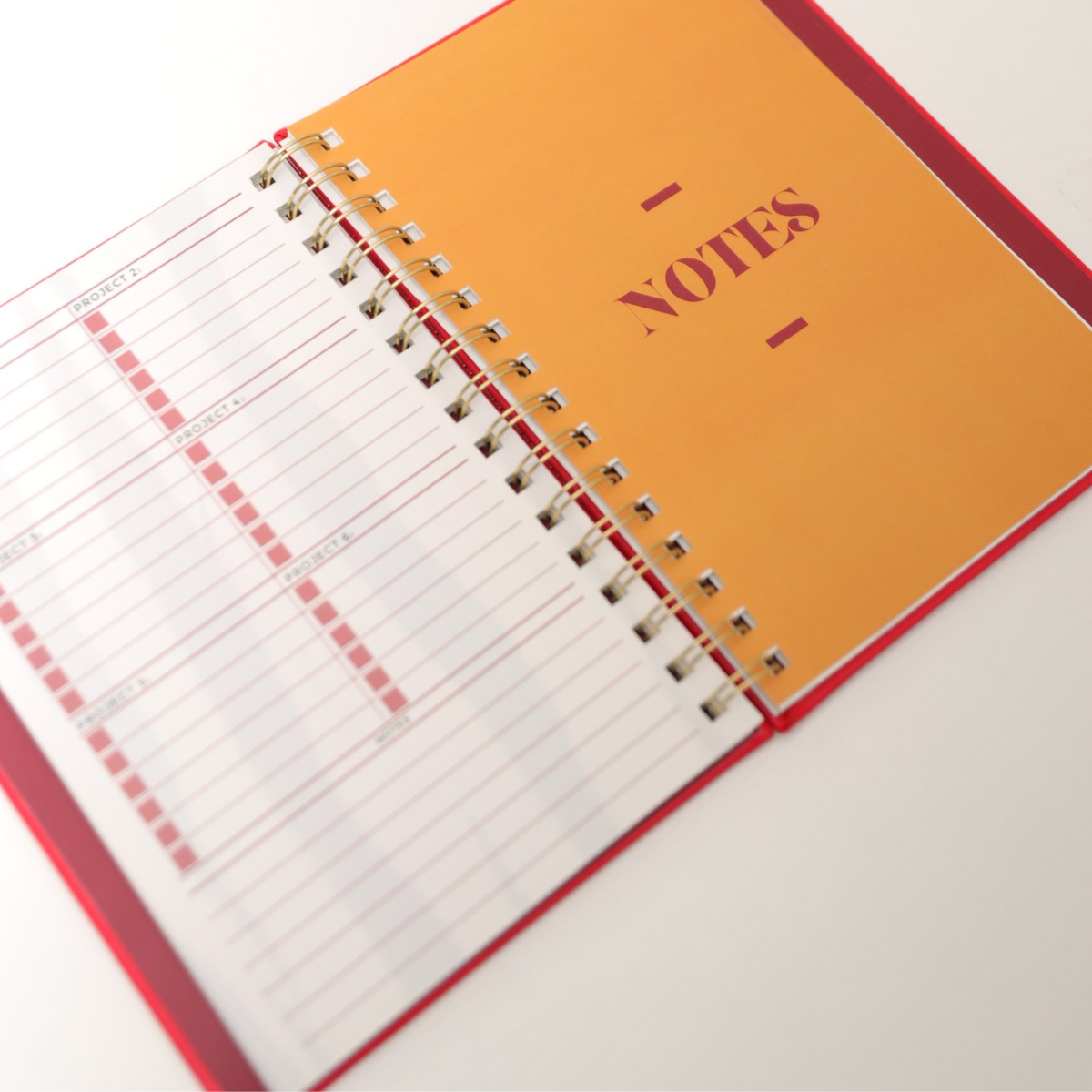 Project Boss - 1881 (Tuskegee) and 1887 (FAMU)– Project Chick Planner